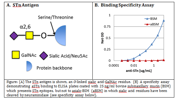 Glycobiology Products