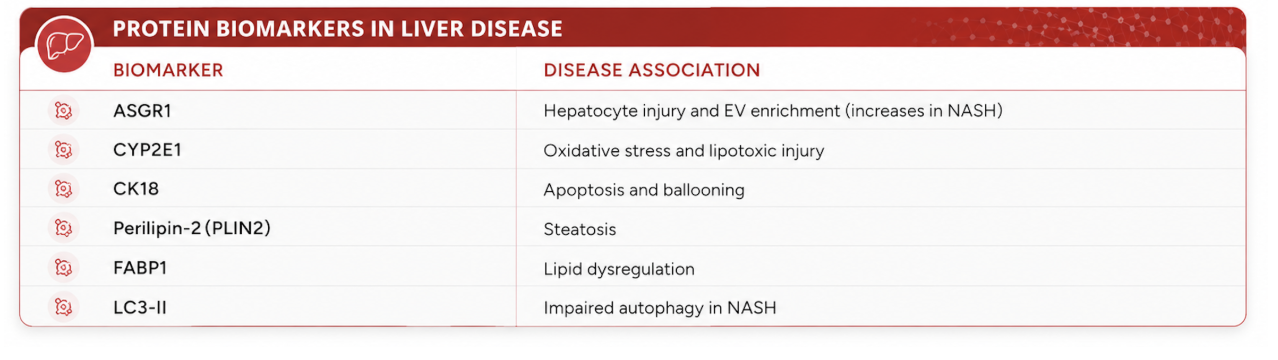 Developing Precision Medicine Diagnostics for MASH Cirrhosis ...