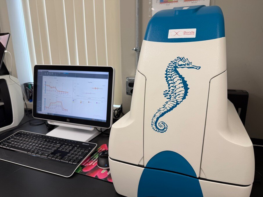 Seahorse Technology is Paving the Way to Standardize Precision Medicine ...