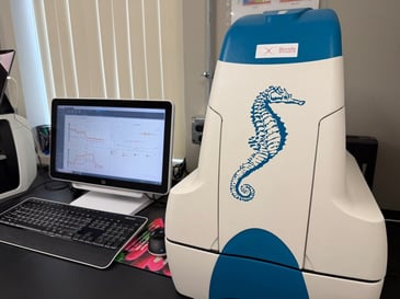 Seahorse Technology is Paving the Way to Standardize Precision Medicine ...