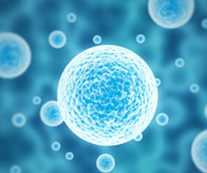 Cell Based Assay Services